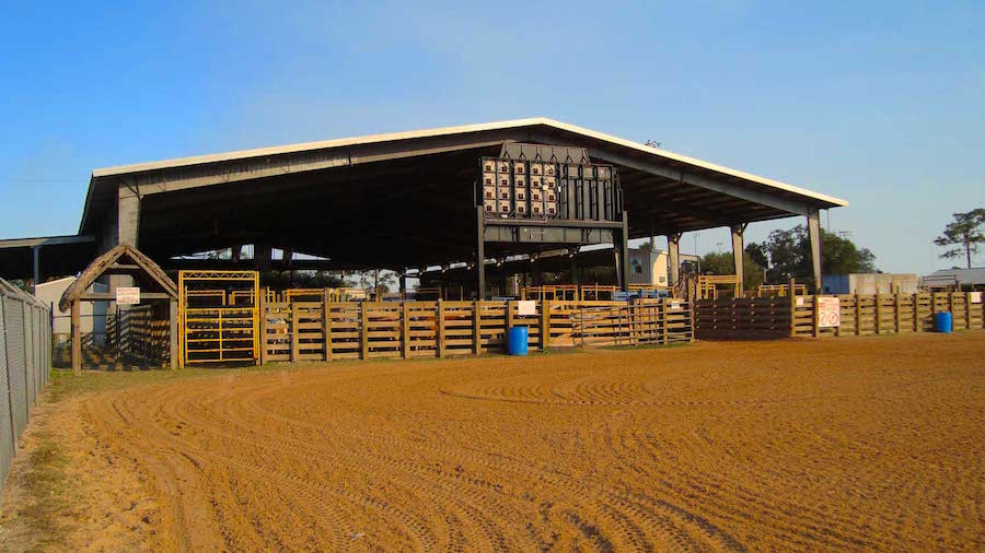 Fred Smith Rodeo Arena, Brighton Indian Reservation, Okeechobee, FL ...