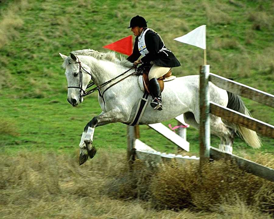 Texas Rose Spring Kickoff I - “A” Hunter/Jumper Horse Show - Best Arenas